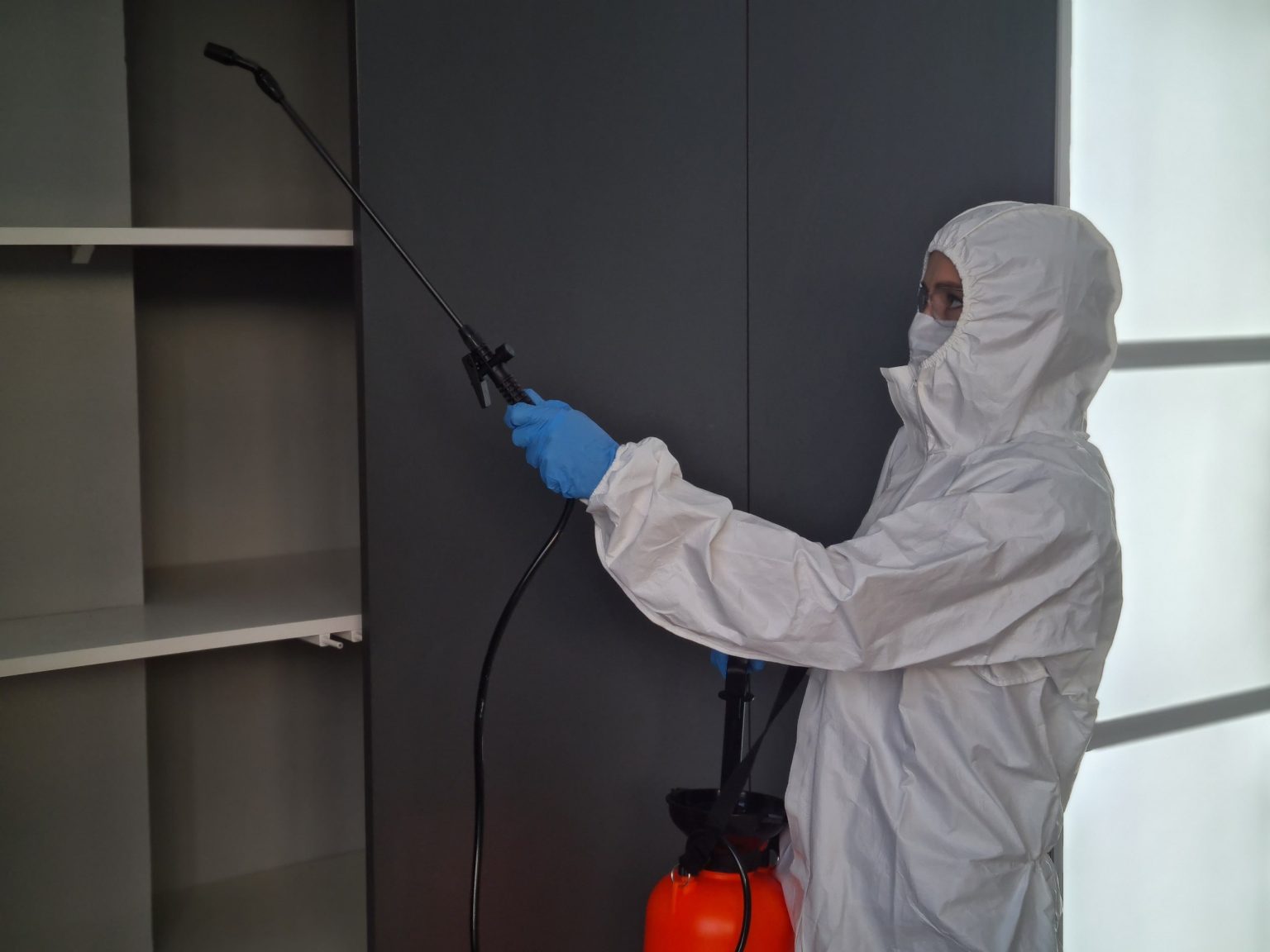 Kako se rešiti stenica? - Ekofam